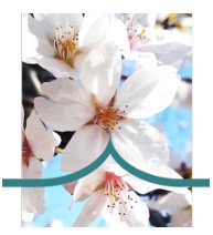 E10系って何？特徴やメリット・既存の新幹線との違いを徹底解説！ | トレンドアカデミー